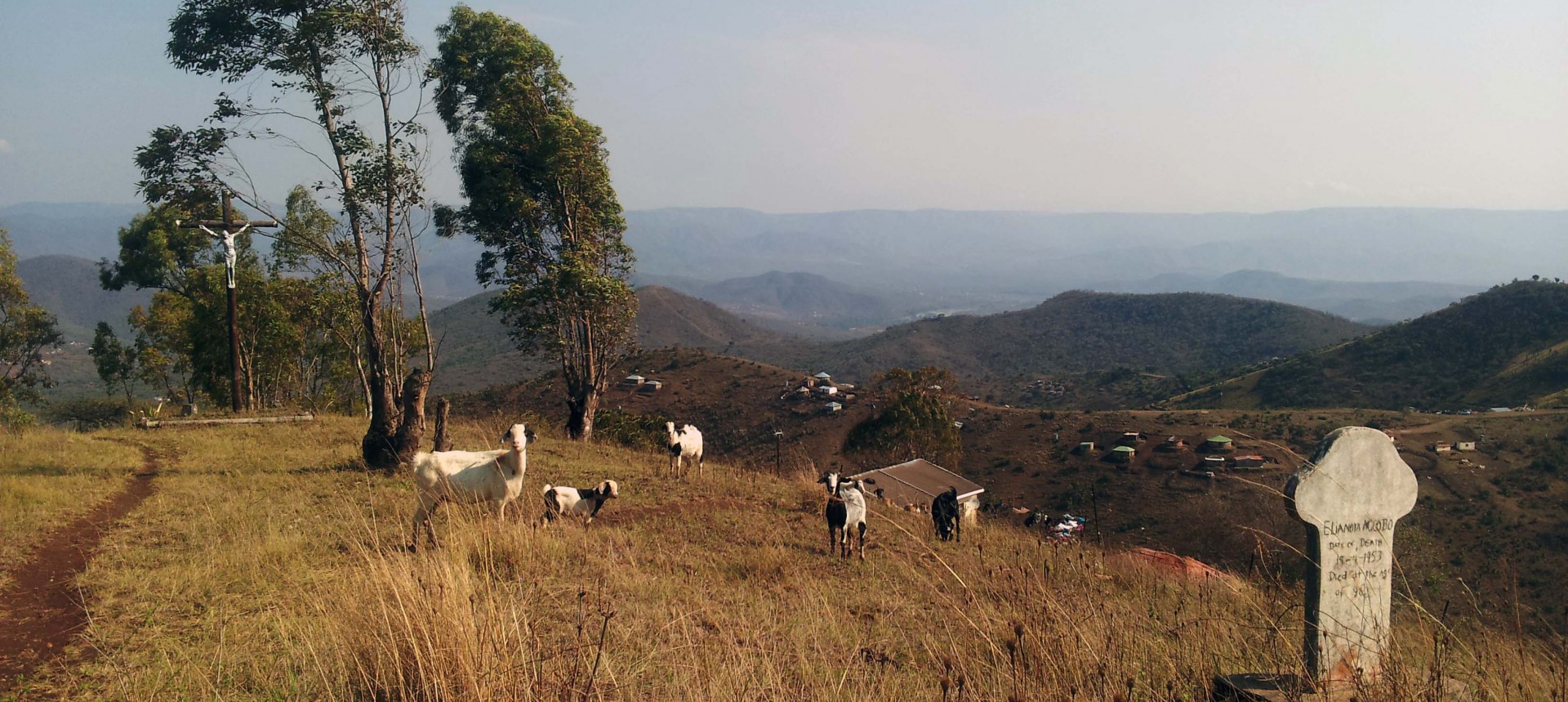 Mbongolwane - WIR REIS(S)EN AUS